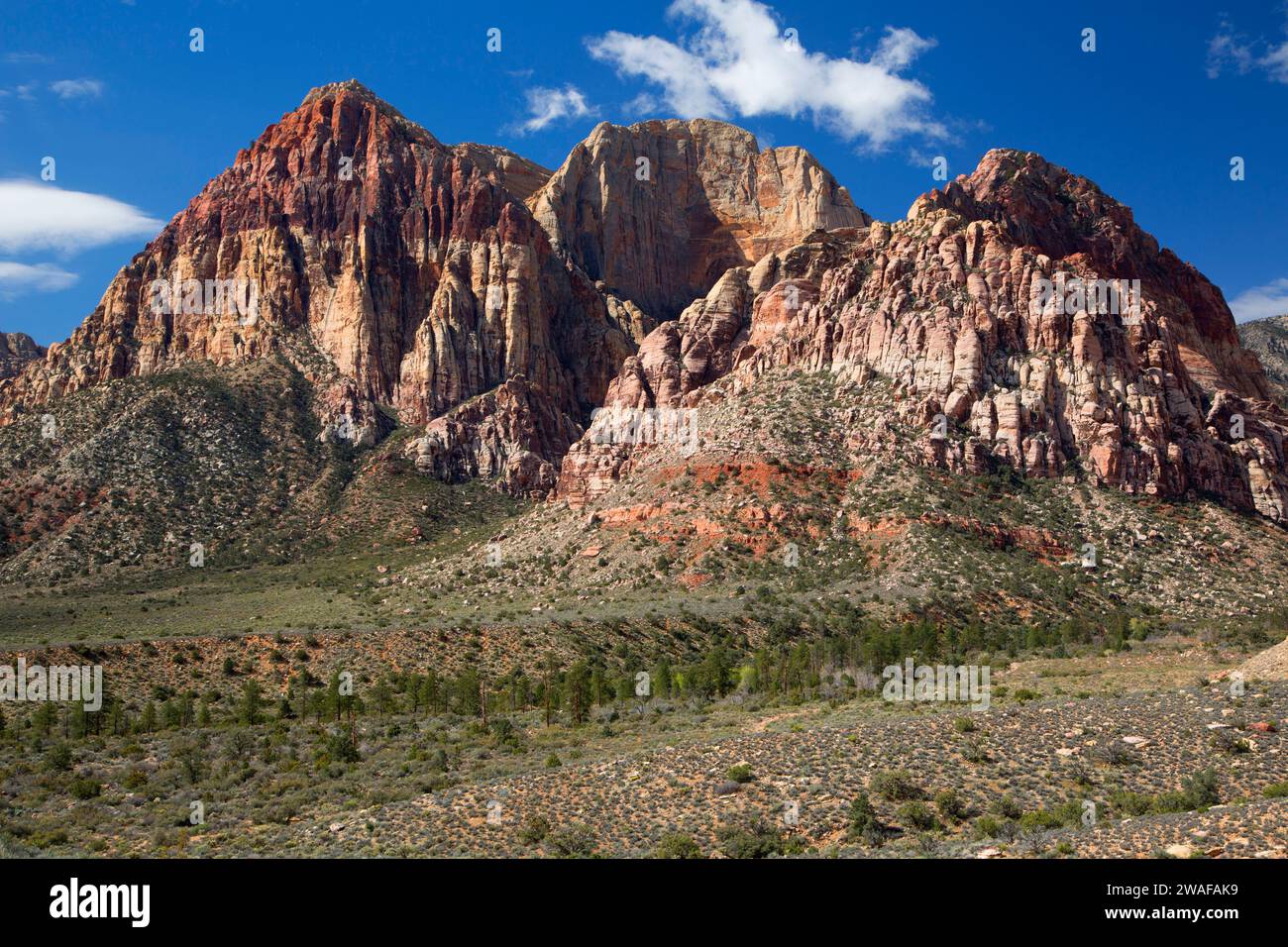 Mount wilson conservation area hi-res stock photography and images - Alamy