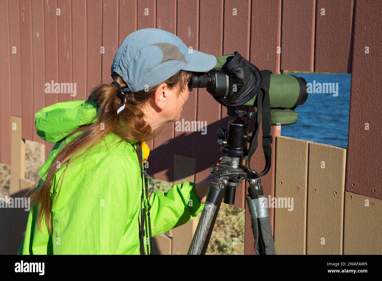 Birding blind, City of Henderson Bird Viewing Preserve, Nevada Stock ...