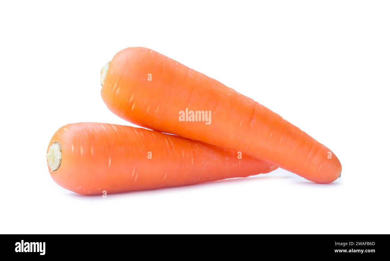 Two fresh orange carrot vegetables are isolated on white background ...