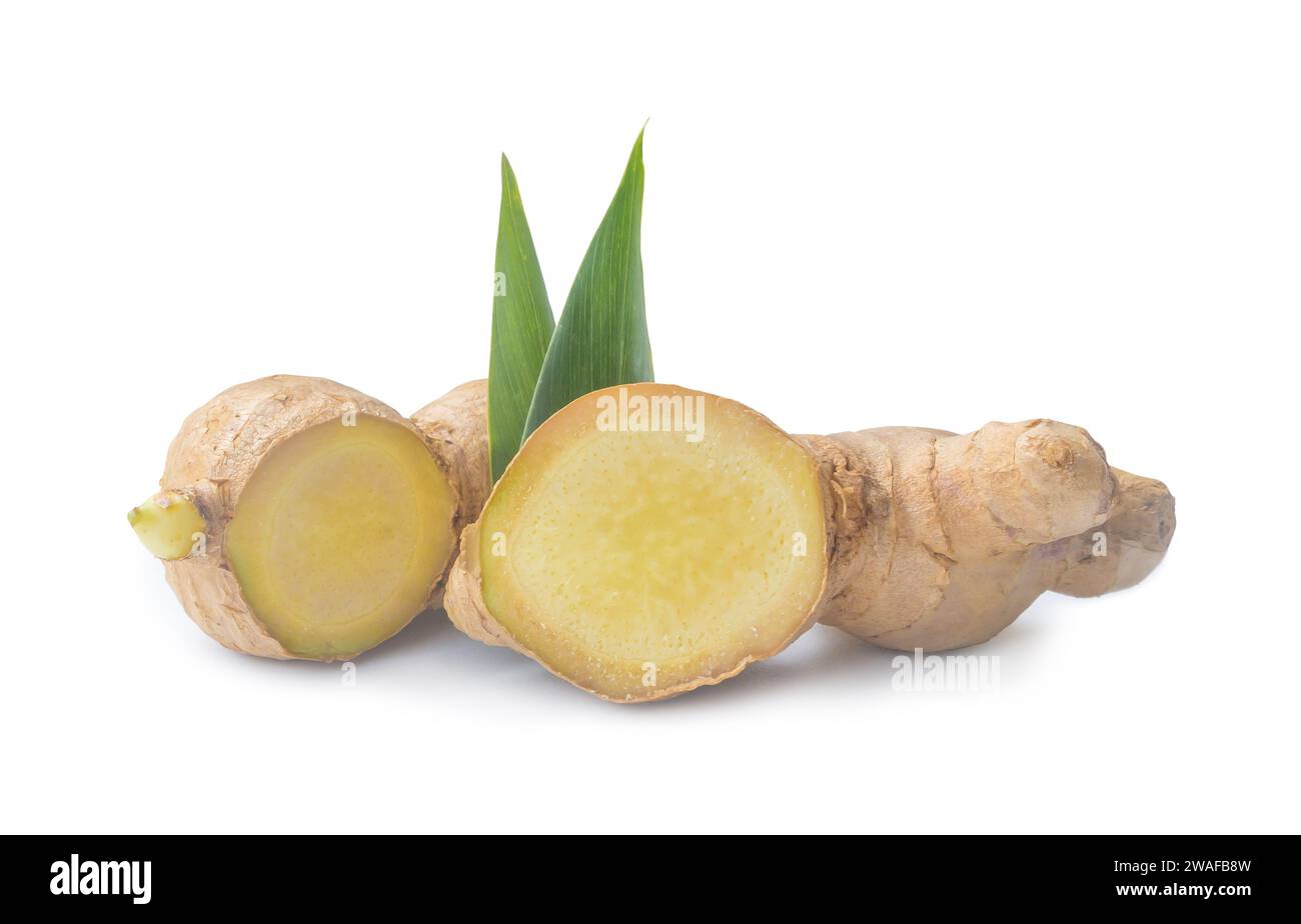 Two cut fresh ginger stems with leaves are isolated on white background ...