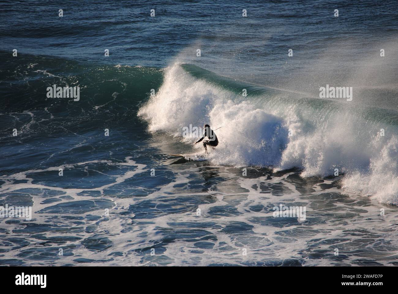 Wave tail hi-res stock photography and images - Alamy