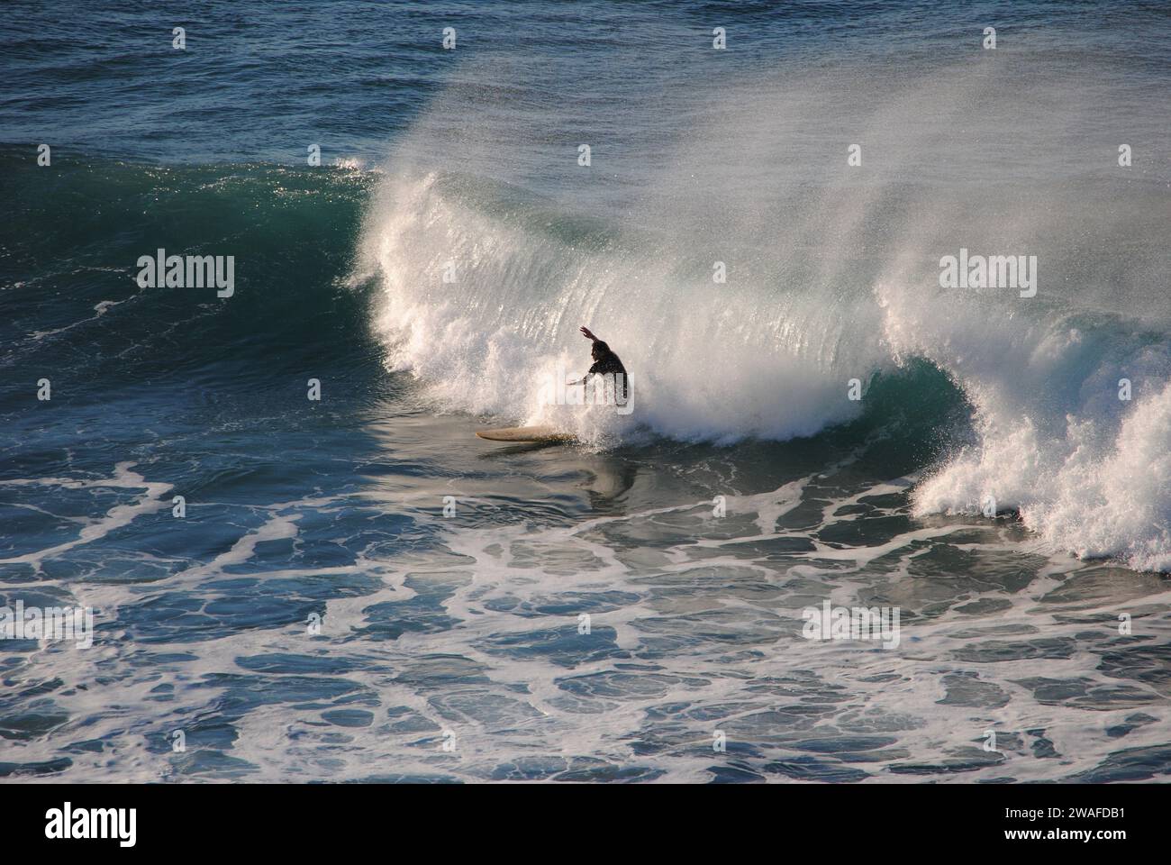 Wave tail hi-res stock photography and images - Alamy