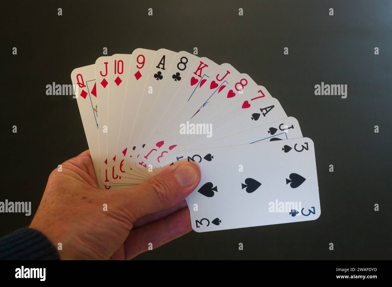 13 playing cards, sorted into suits, a bridge hand worth a strong no ...