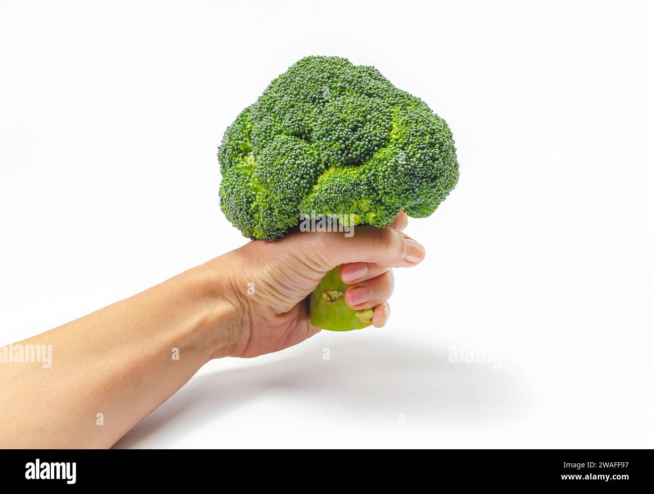 Female hand holding green broccoli isolated on white background. Diet ...
