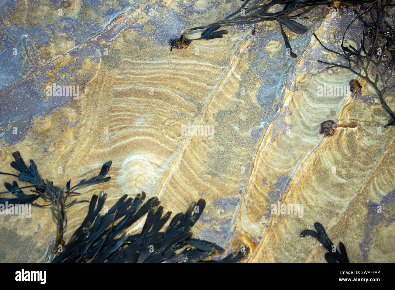 sedimentary layers of rock on the wave-cut platform erode at a slightly ...
