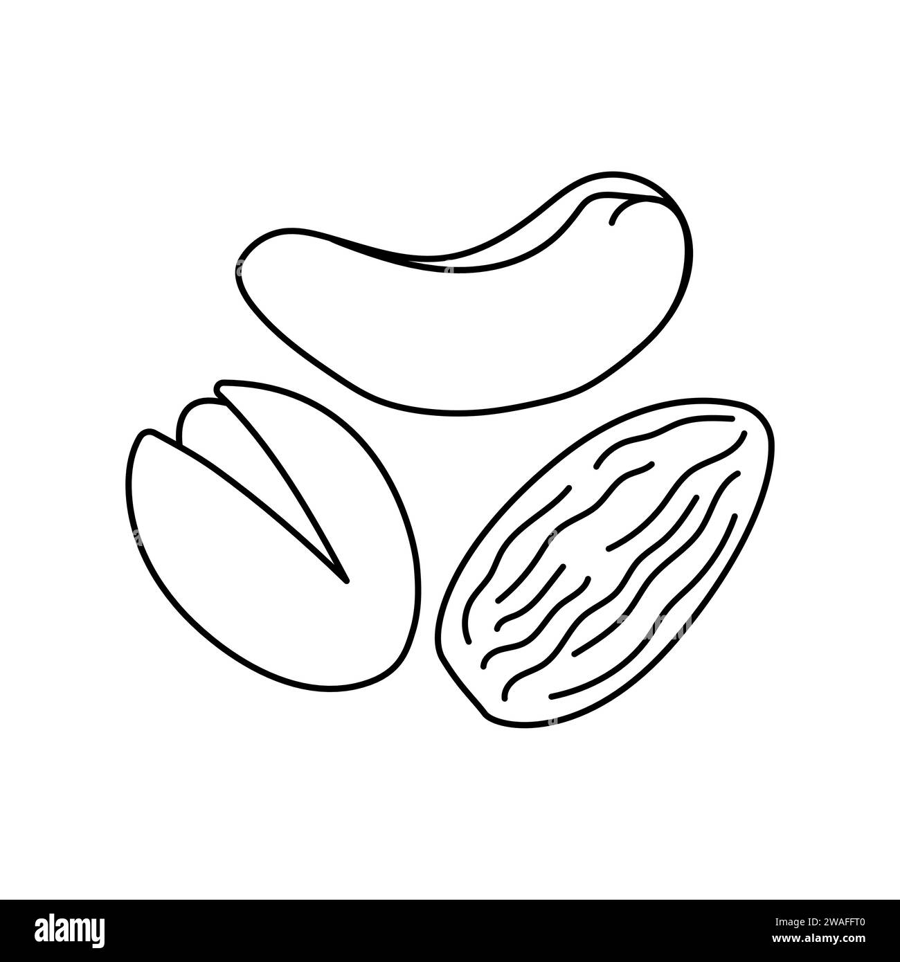 Hand drawn mix nuts: cashew, almond, cashew color element. Cartoon ...