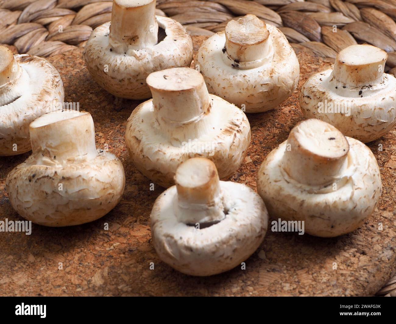 raw button mushroom ingredient for cooking Stock Photo - Alamy