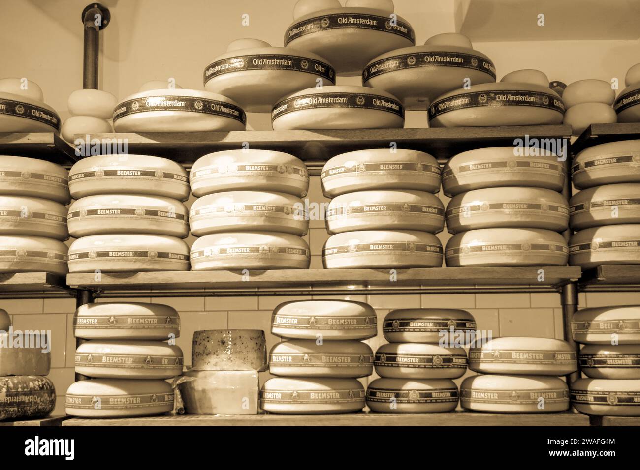 antique style, Large shelves full of wheels of traditional yellow ...