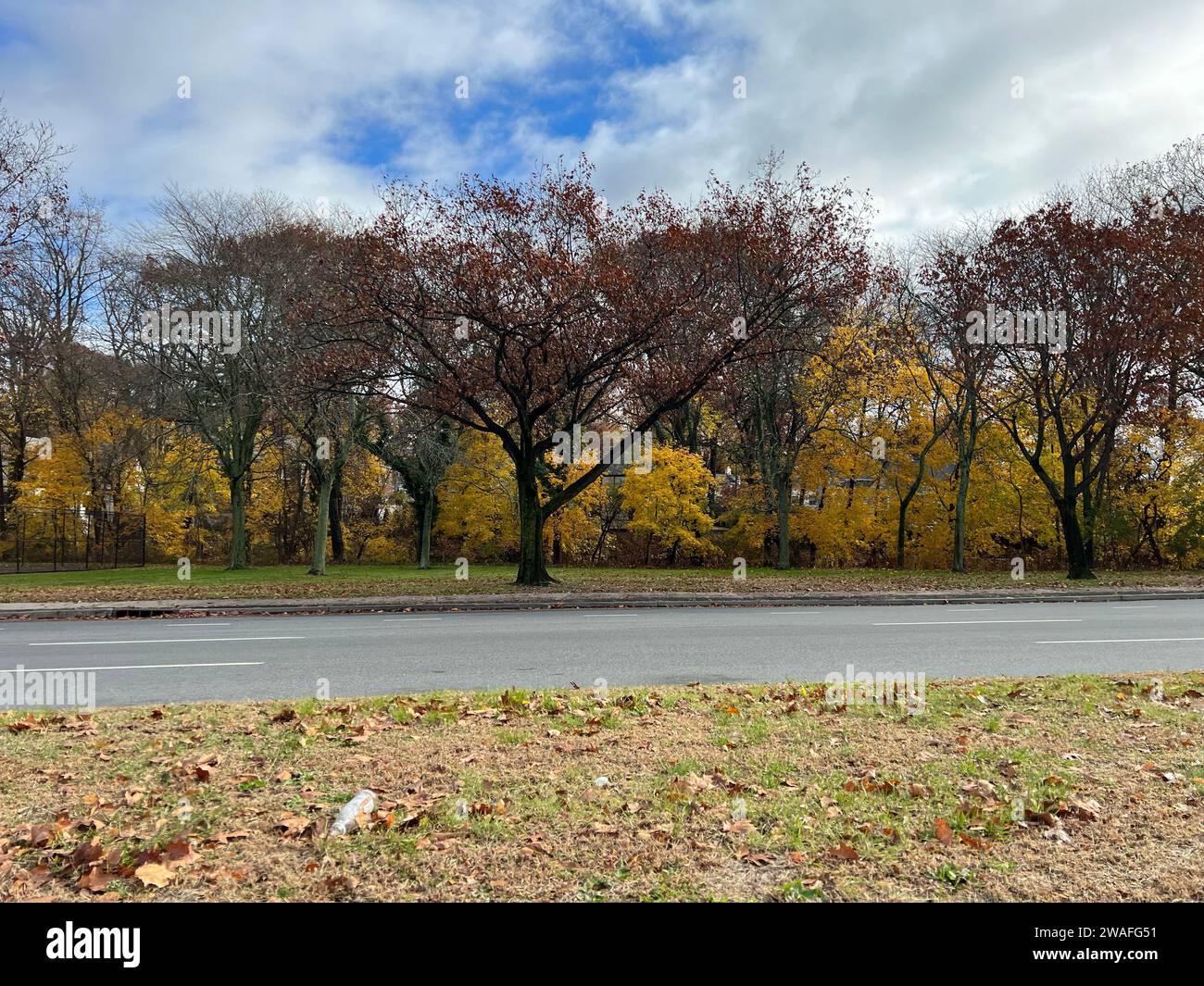A highway lined with beautiful autumn trees Stock Photo - Alamy