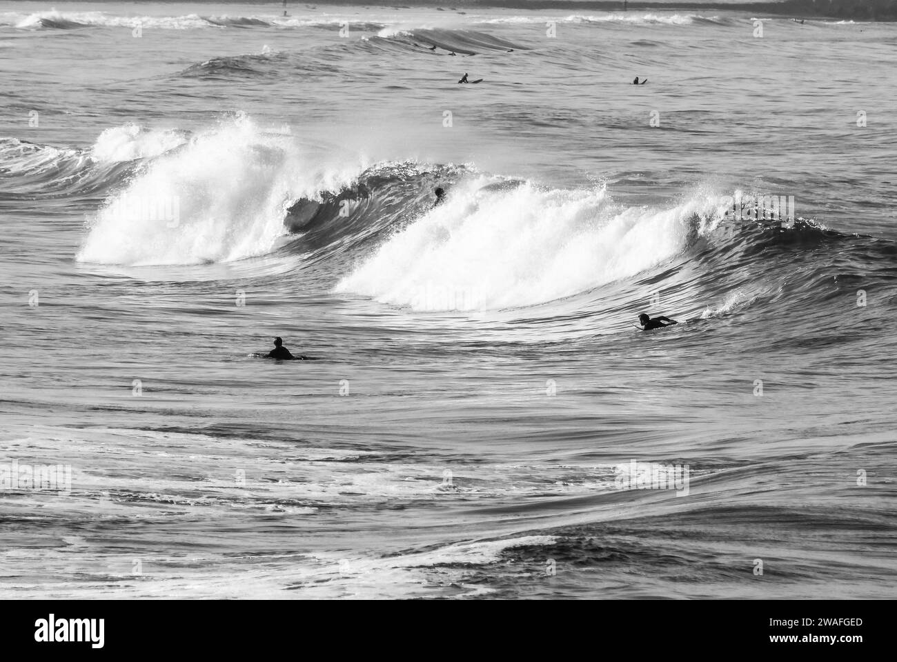 Surfing sunset group Black and White Stock Photos & Images - Alamy