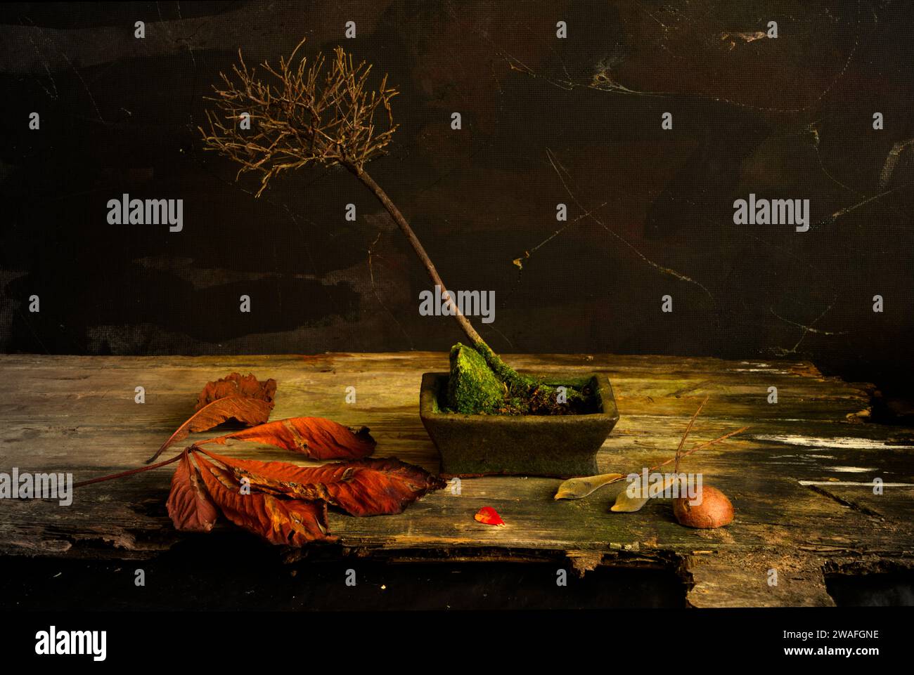 Still life with food, flowers, seeds. Yellow and brown grading Stock ...