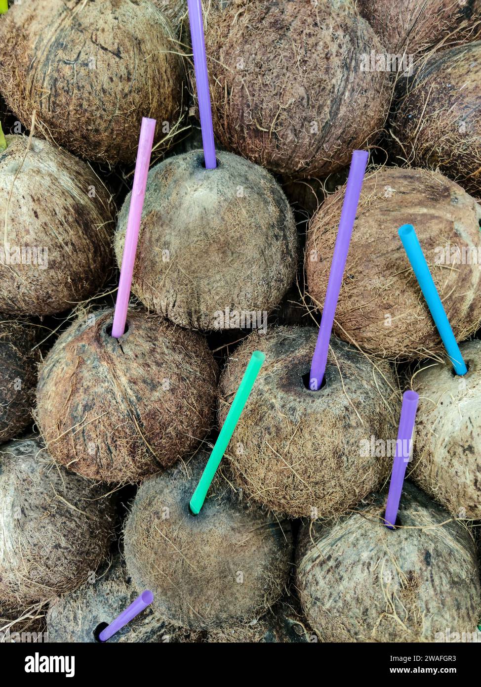 Background of coconut nuts with plastic drinking tubes, vertical frame ...