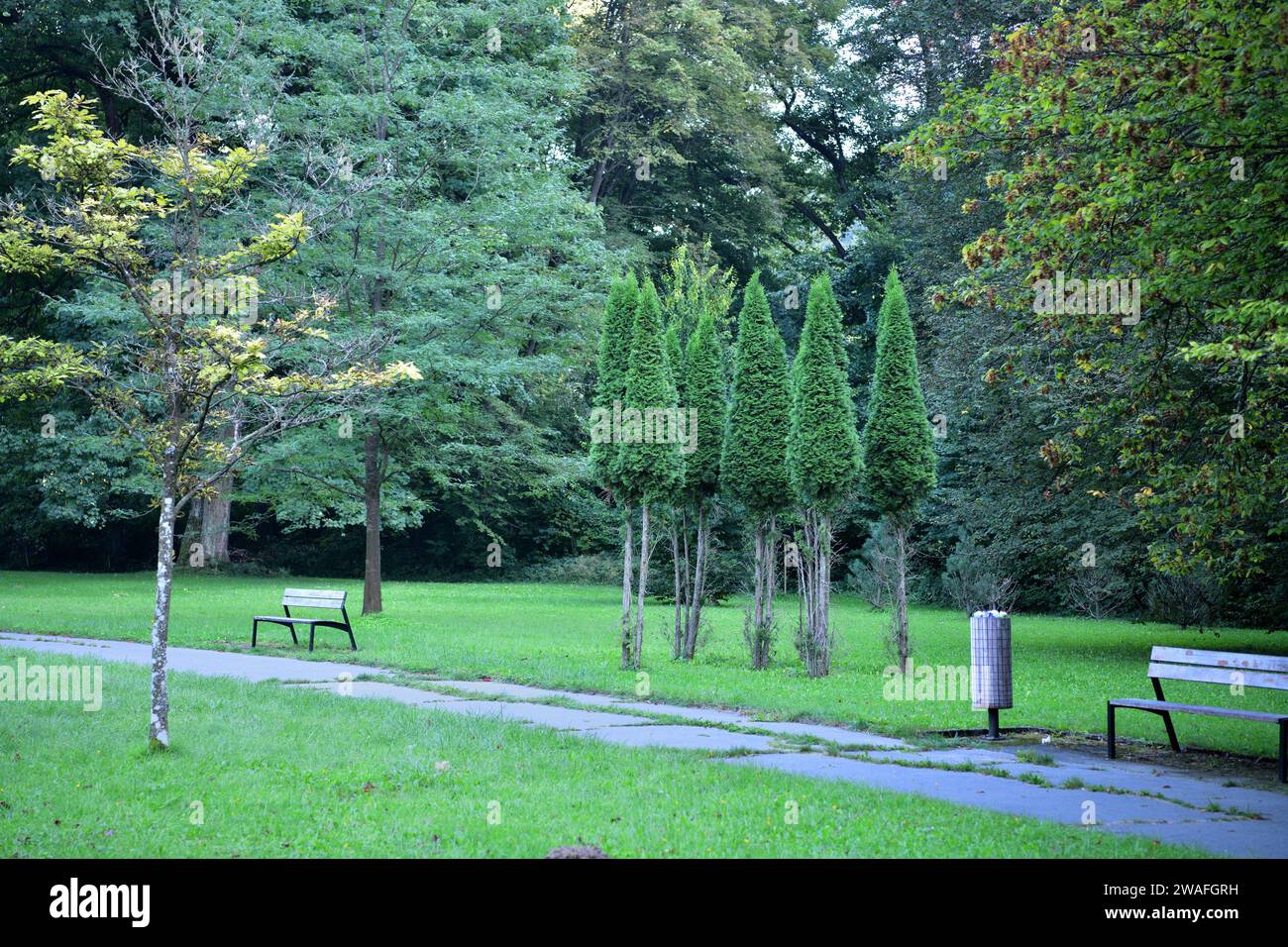 Wooden rest benches in the park on the mowed meadow for guests Stock ...