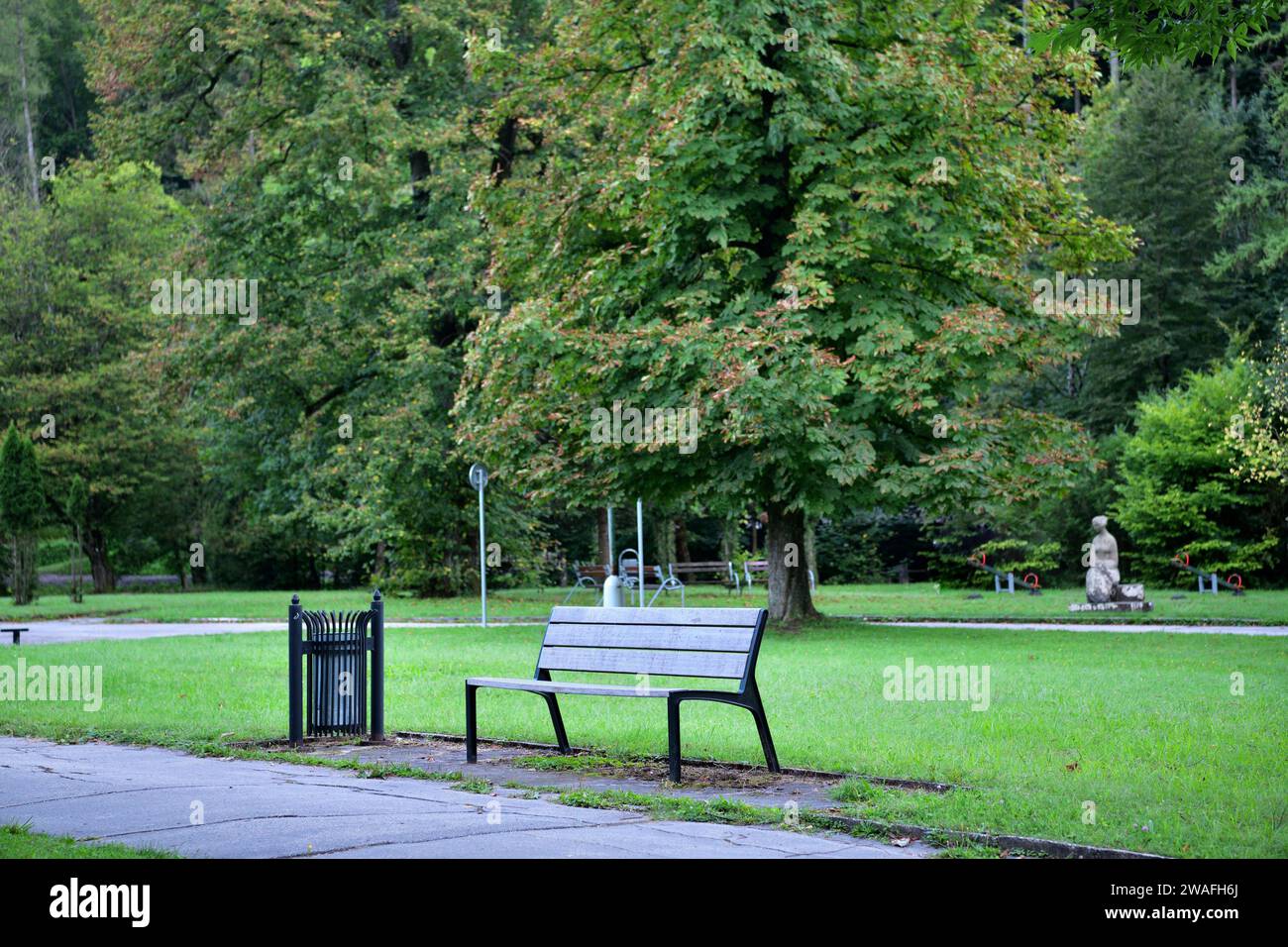 Wooden rest benches in the park on the mowed meadow for guests Stock ...