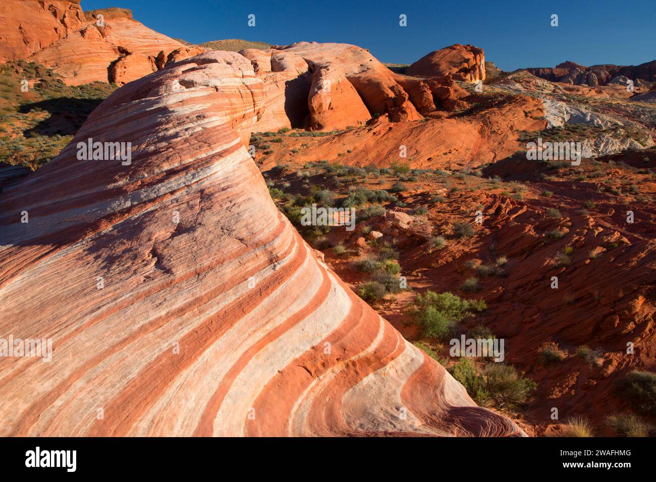 Fire Wave, Valley of Fire State Park, Nevada Stock Photo - Alamy