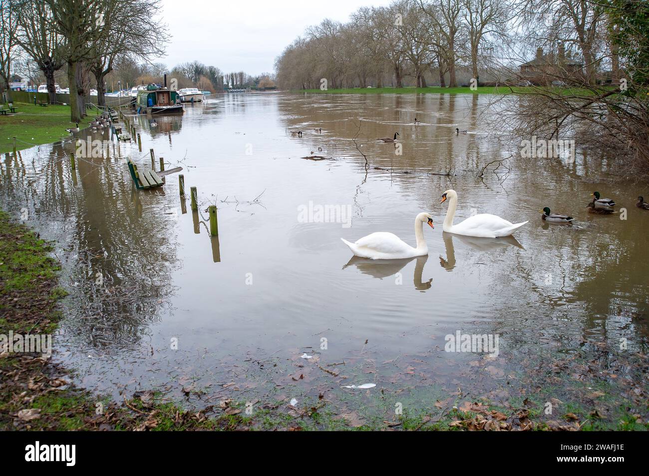 Datchet, Berkshire, UK. 4th January, 2024. Floodwater from the River ...