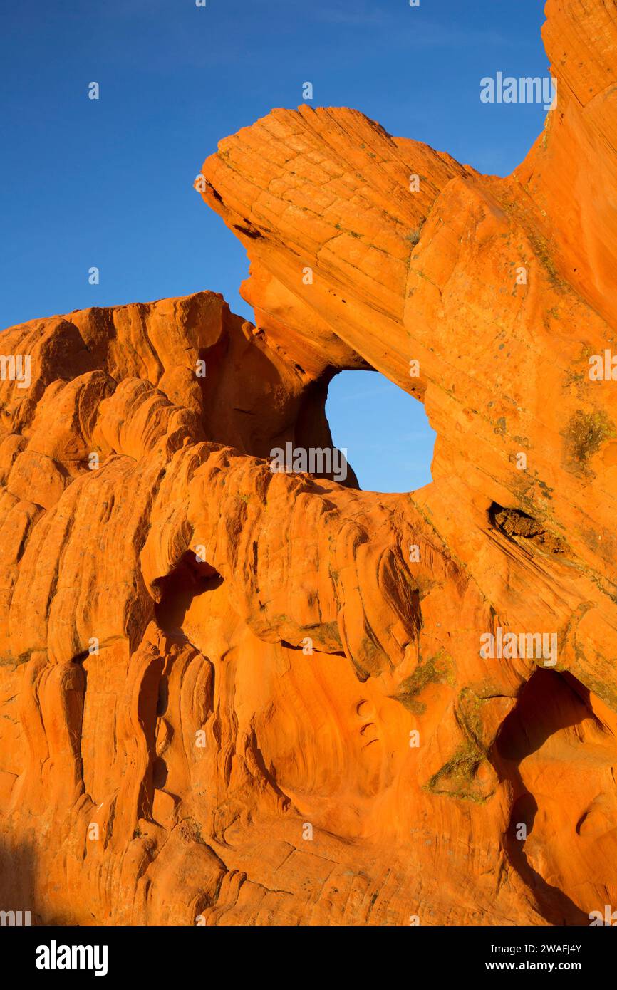 Gold butte national monument arch hi-res stock photography and images ...