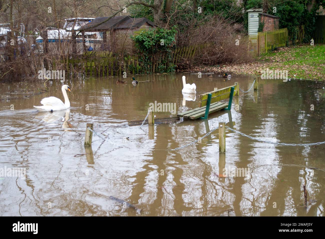 Datchet, Berkshire, UK. 4th January, 2024. Floodwater from the River ...