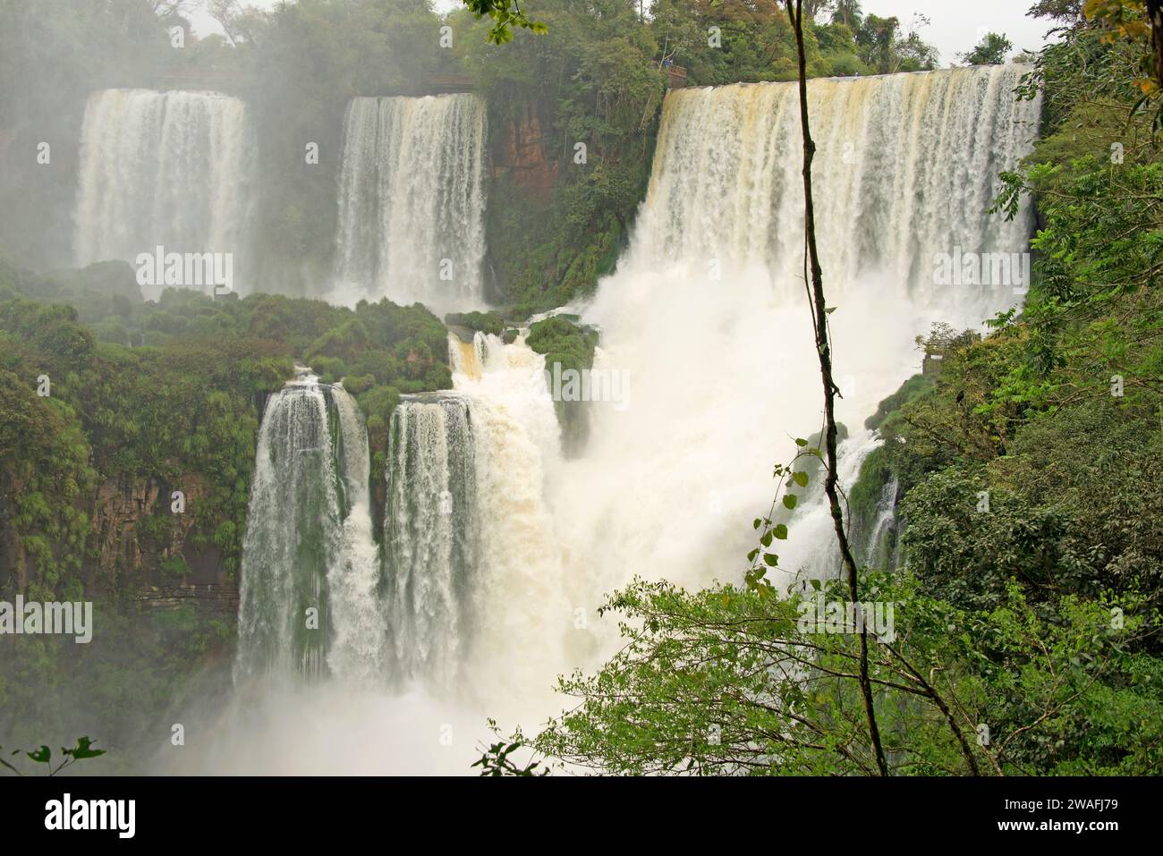 Iguazu waterfalls National Park UNESCO World Heritage, Argentina Stock ...