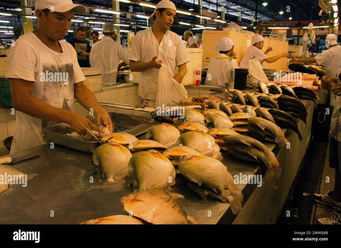 Manaus brazil fish market hi-res stock photography and images - Alamy
