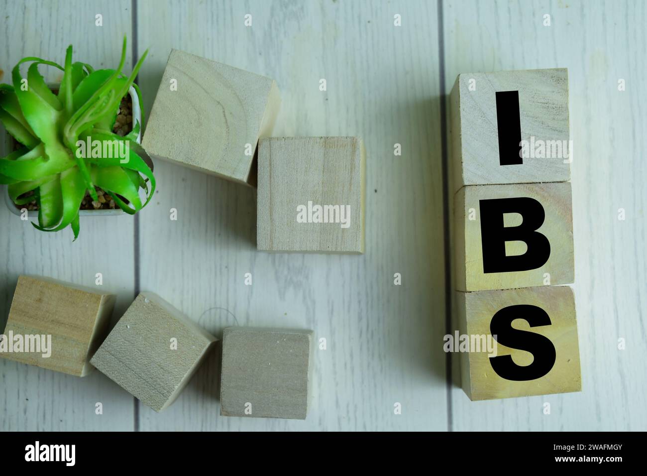 Concept of The wooden Cubes with the word IBS - Irritable Bowel ...