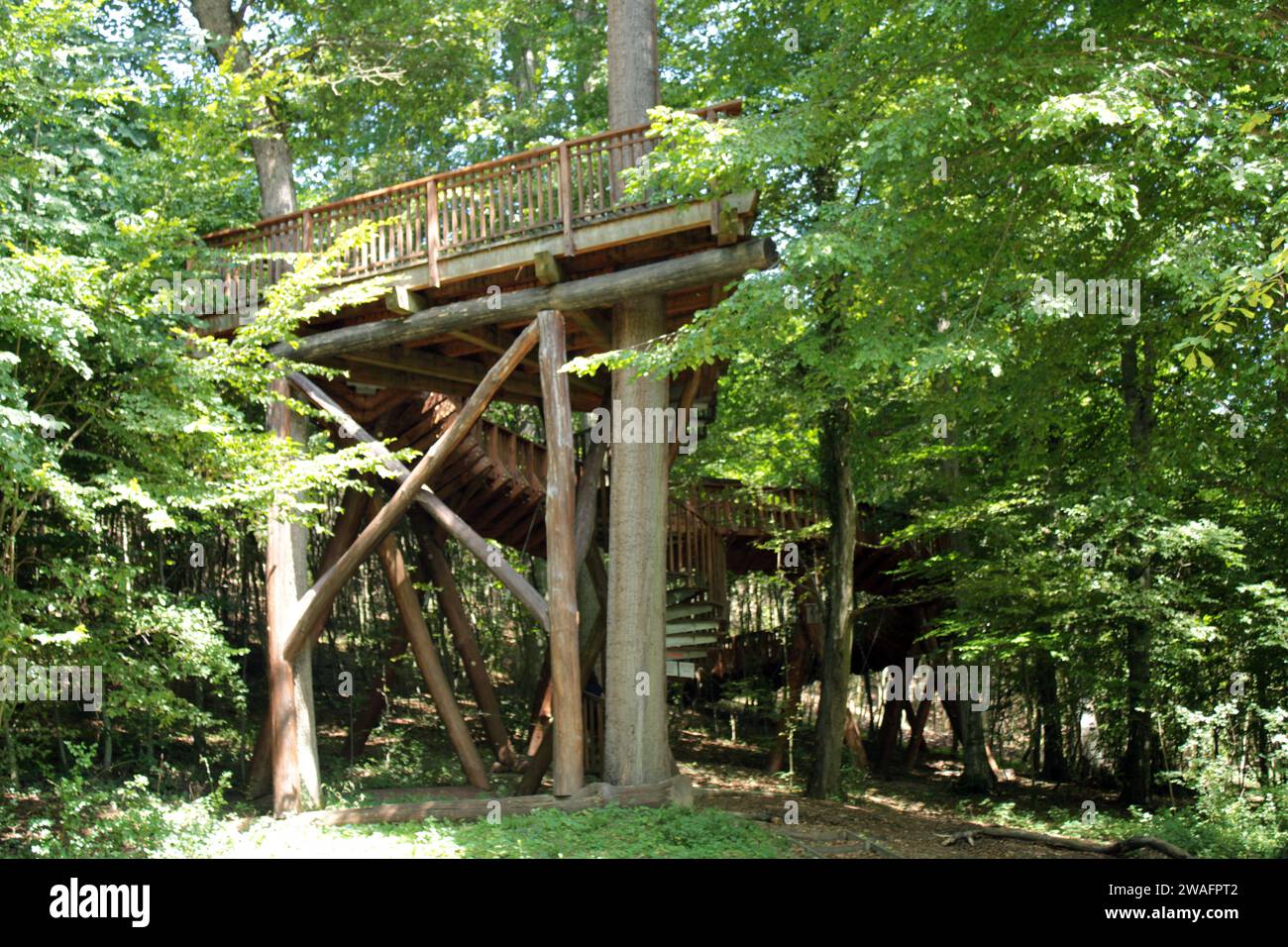 Canopy walkway architecture hi-res stock photography and images - Alamy