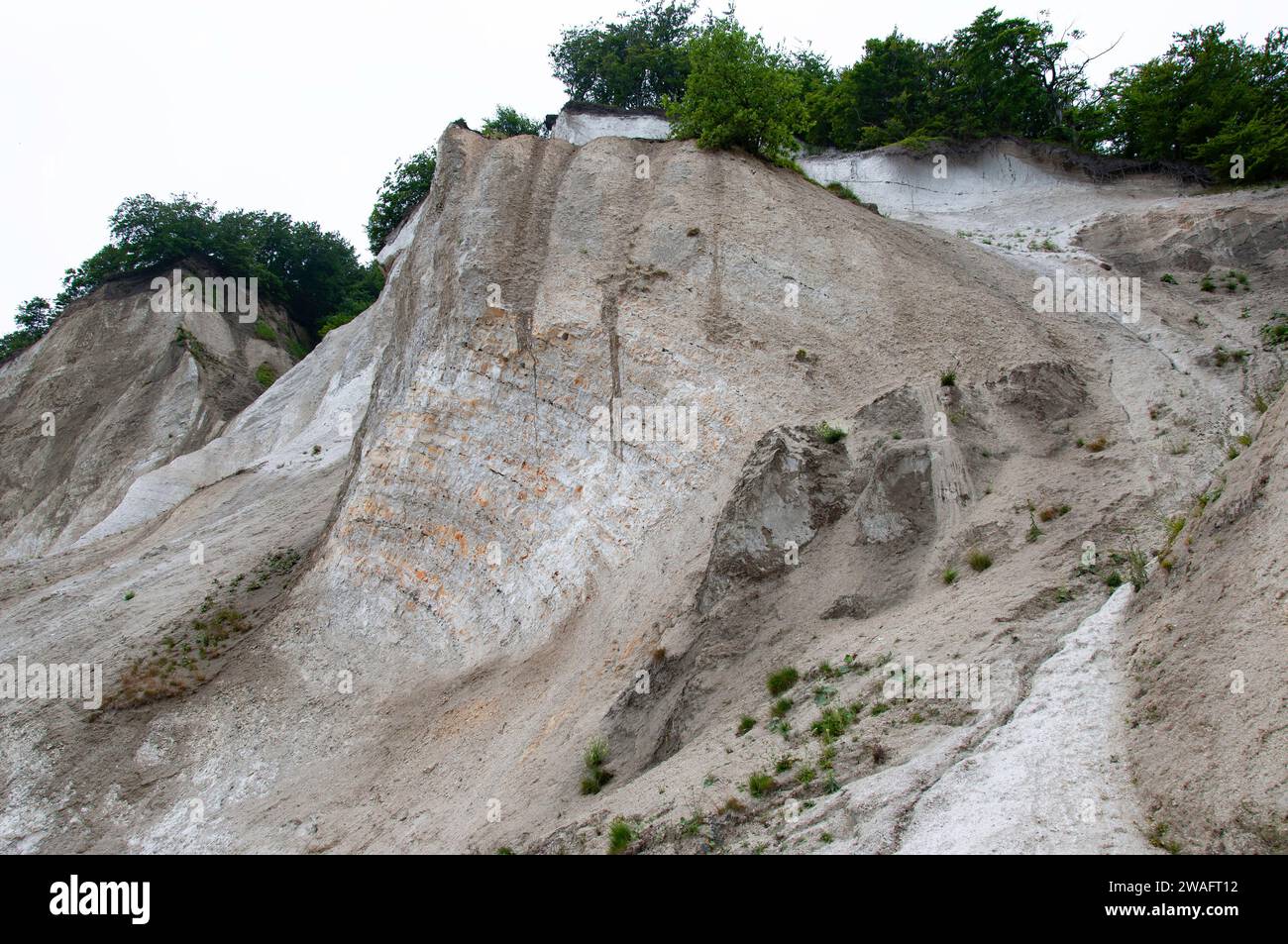 Limestone cliffs with green vegetation on top on the east coast of ...