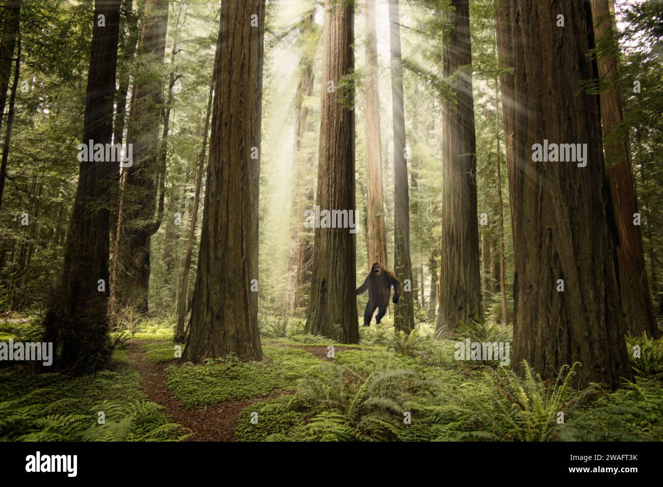 Bigfoot in the forest hi-res stock photography and images - Alamy