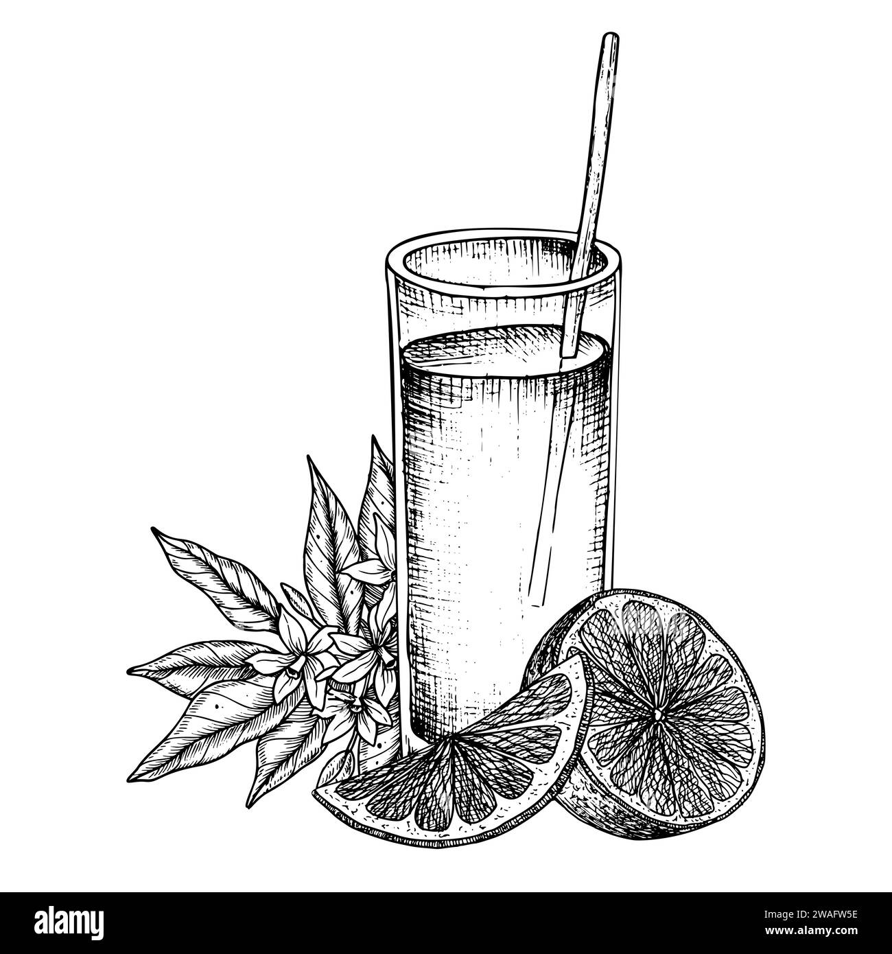 Orange Juice Drawing