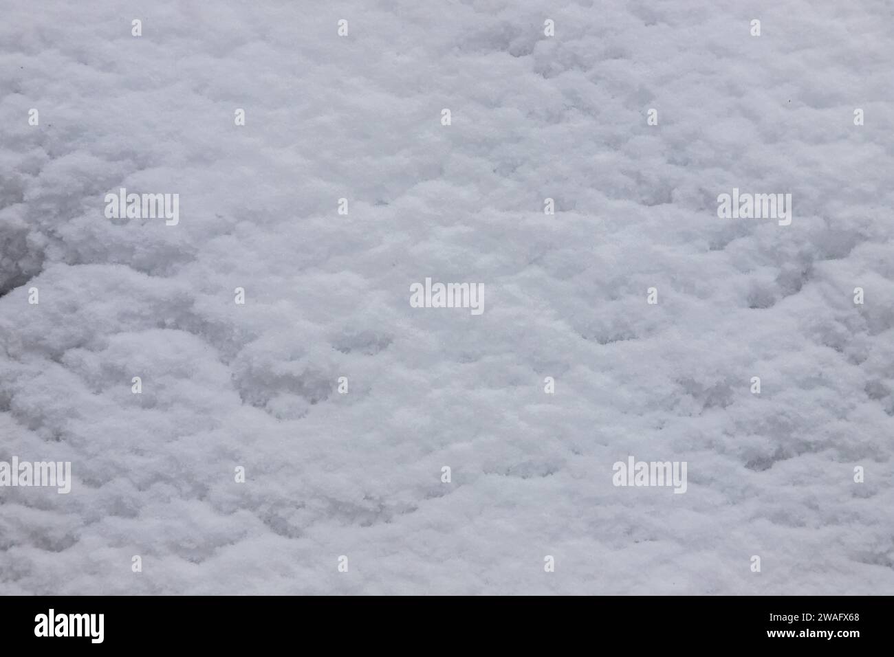 Beautiful winter background with snowy ground. Natural snow texture ...