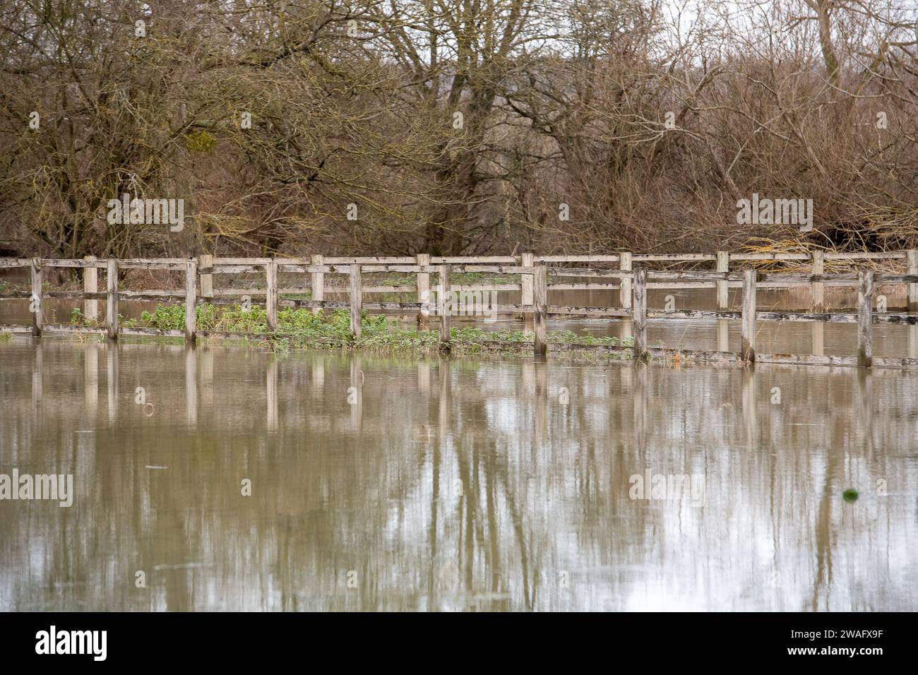Sonning, Berkshire, UK. 4th January, 2024. Floodwater from the River ...