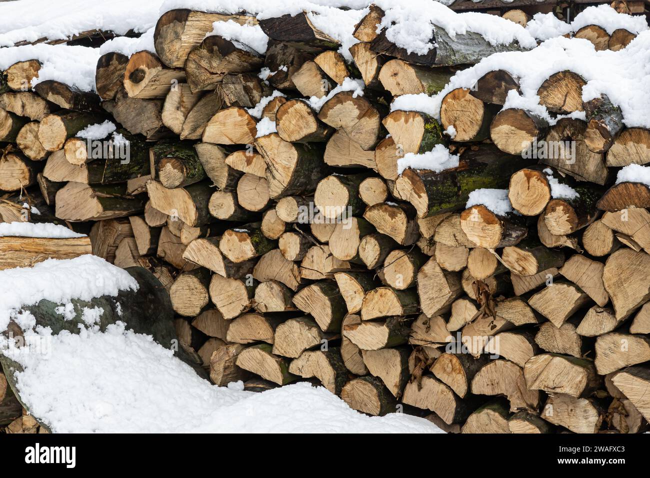 Snow covered firewood. Stack of wood cut. Snow on the timber stack ...