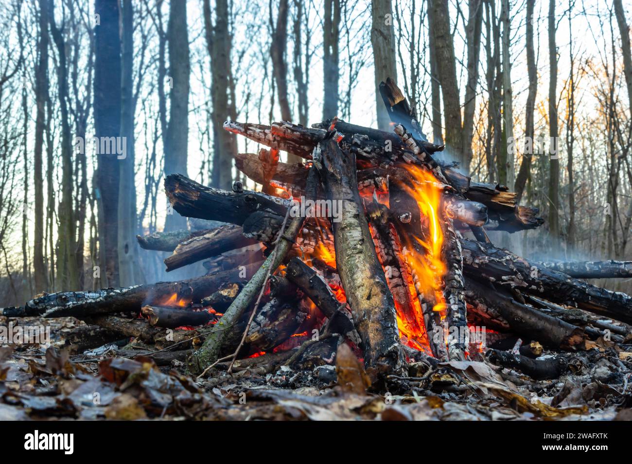 Campfire in the spring forest. Rest on the weekend. Danger of forest ...