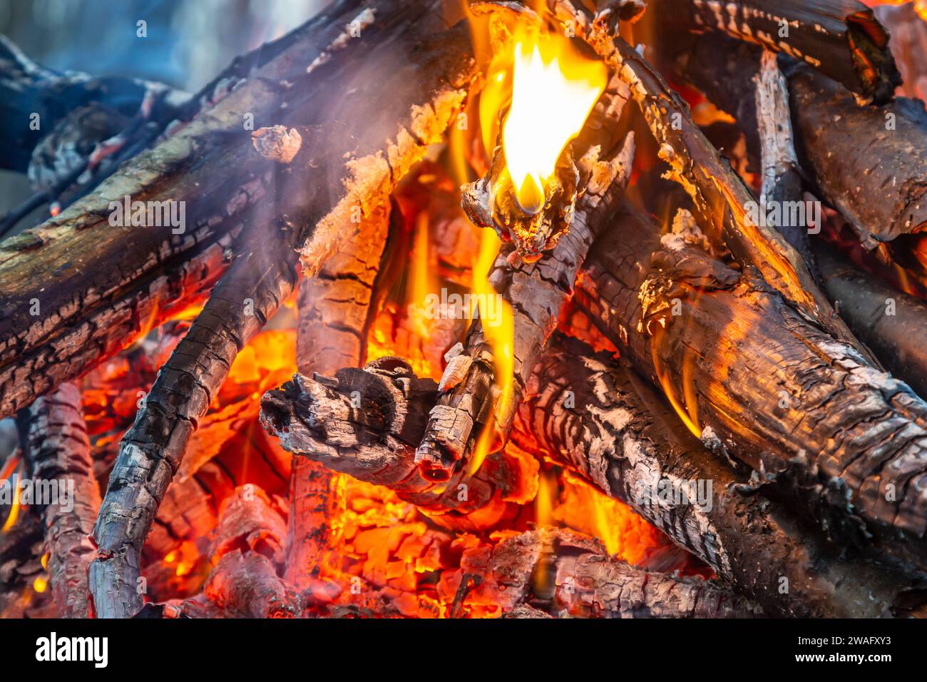 Campfire in the spring forest. Rest on the weekend. Danger of forest ...