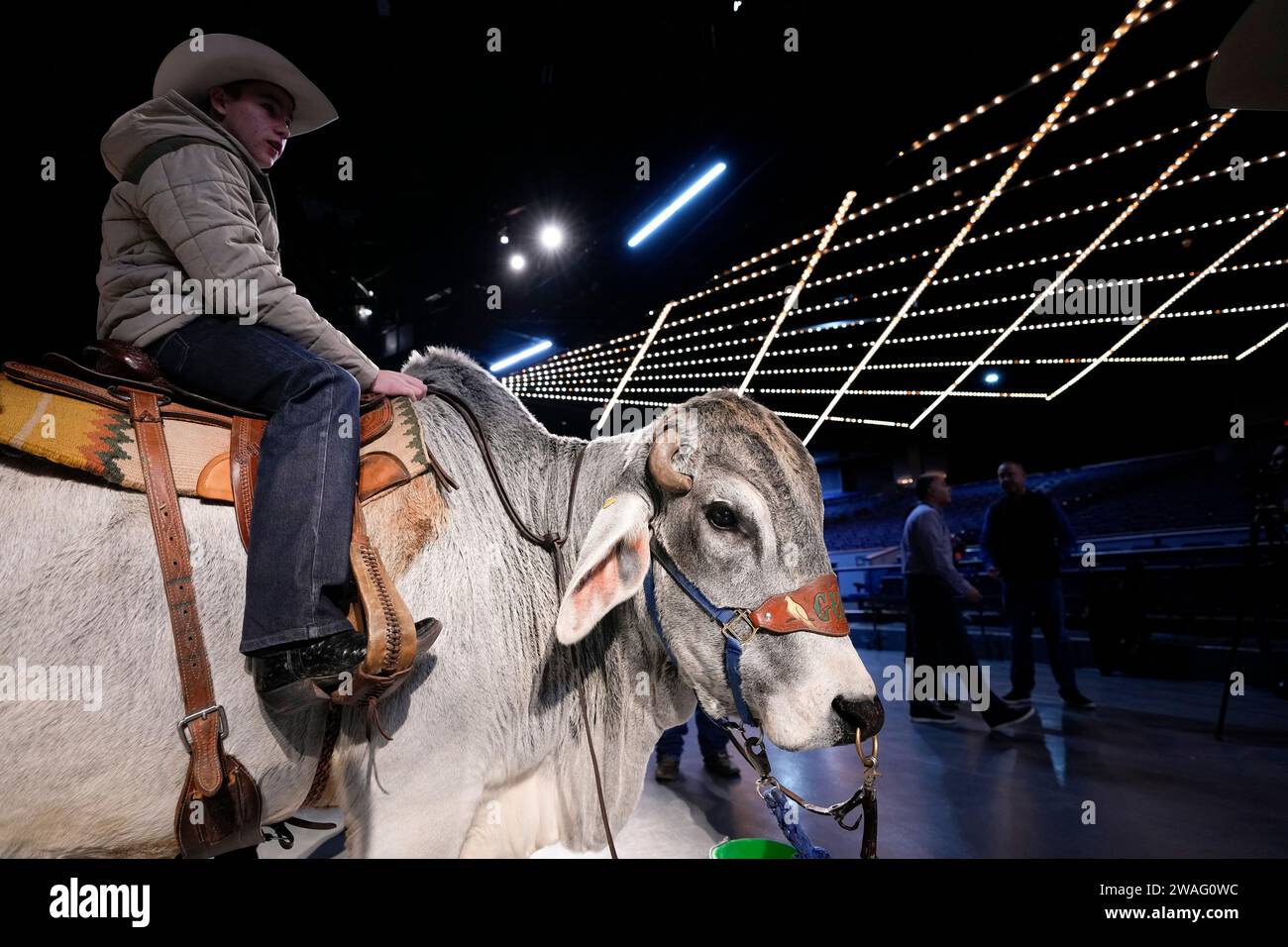 Bull rider John Crimber rides a bull named Gus during an event at ...