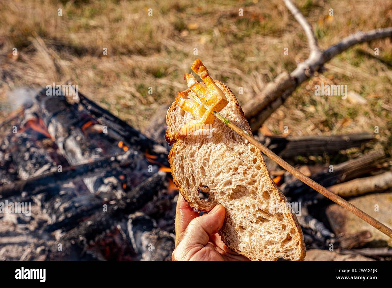 a man hand holds a slice of toasted bread with fried bacon an open fire in nature, slanina ...