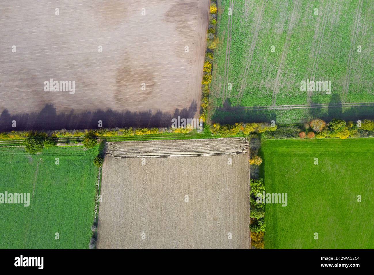 Aerial view over rural bocage landscape with fields and pastures ...