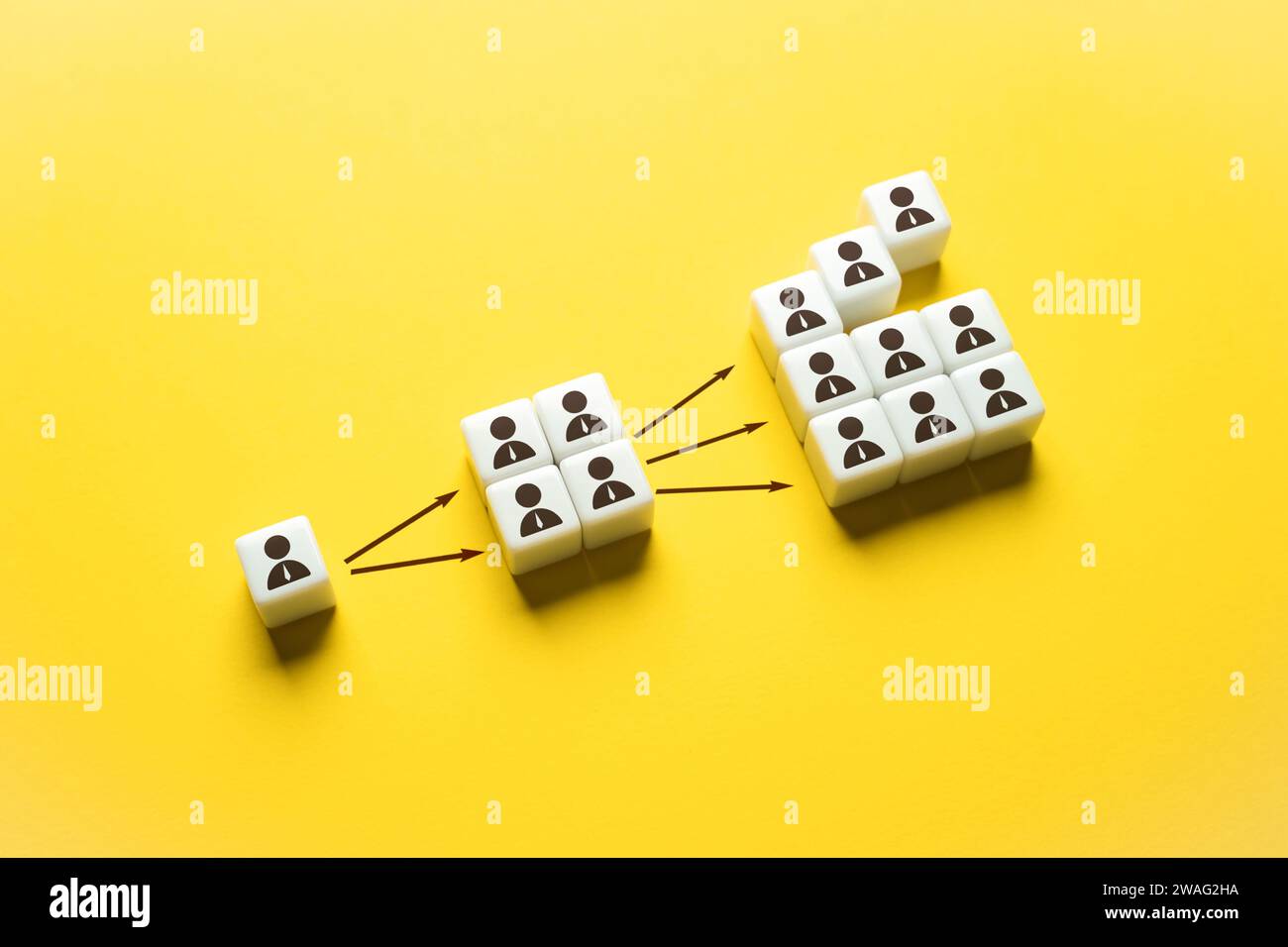 Growth of the company's staff. Found a community. Bring in a wider ...