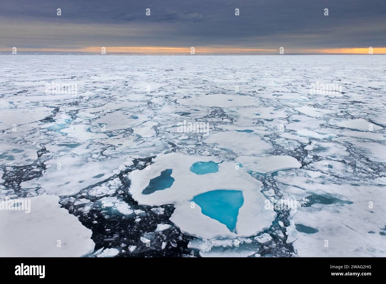 Sea ice / drift ice / ice floes floating in the Arctic Ocean at sunset ...