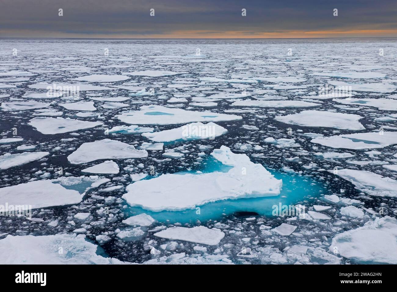 Sea ice / drift ice / ice floes floating in the Arctic Ocean at sunset ...