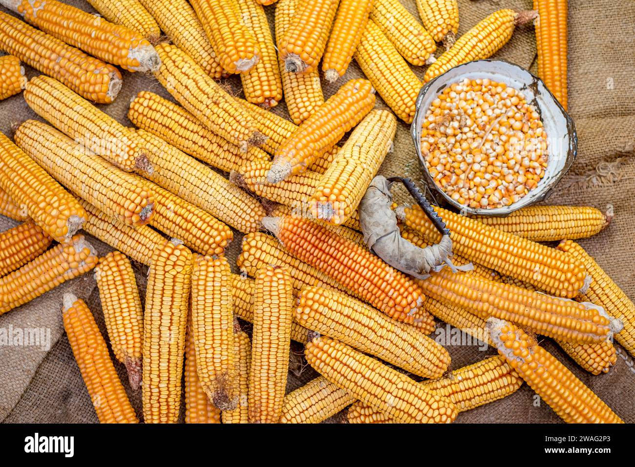 Grain chutes hi-res stock photography and images - Alamy
