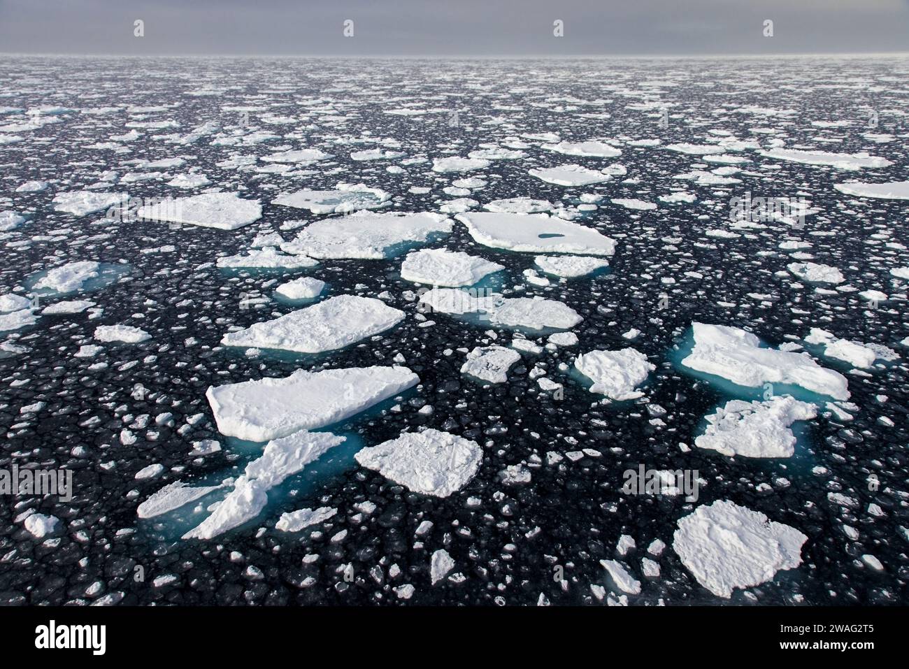 Sea ice / drift ice / ice floes floating in the Arctic Ocean ...