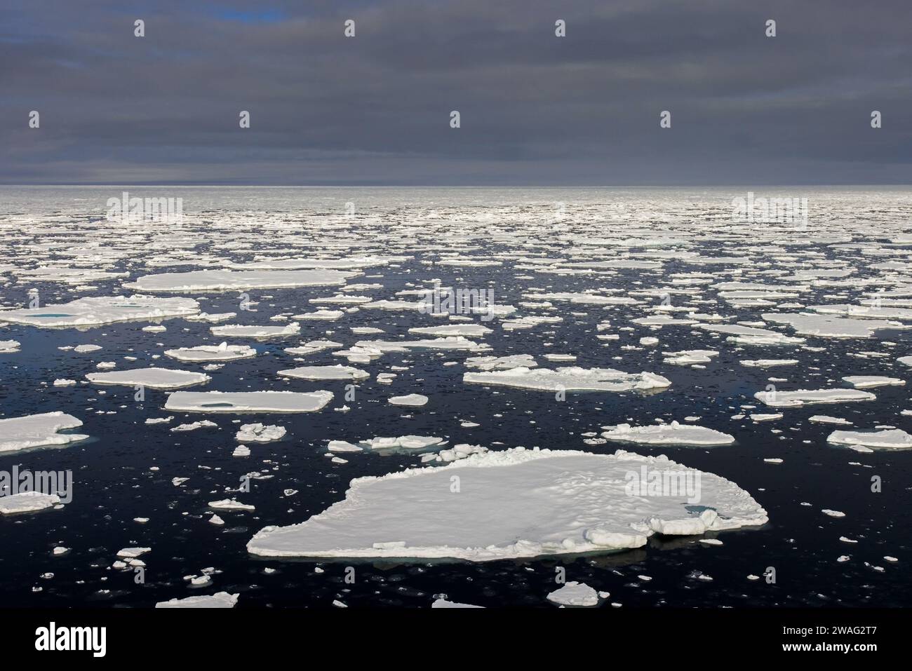 Sea ice / drift ice / ice floes floating in the Arctic Ocean at sunset ...