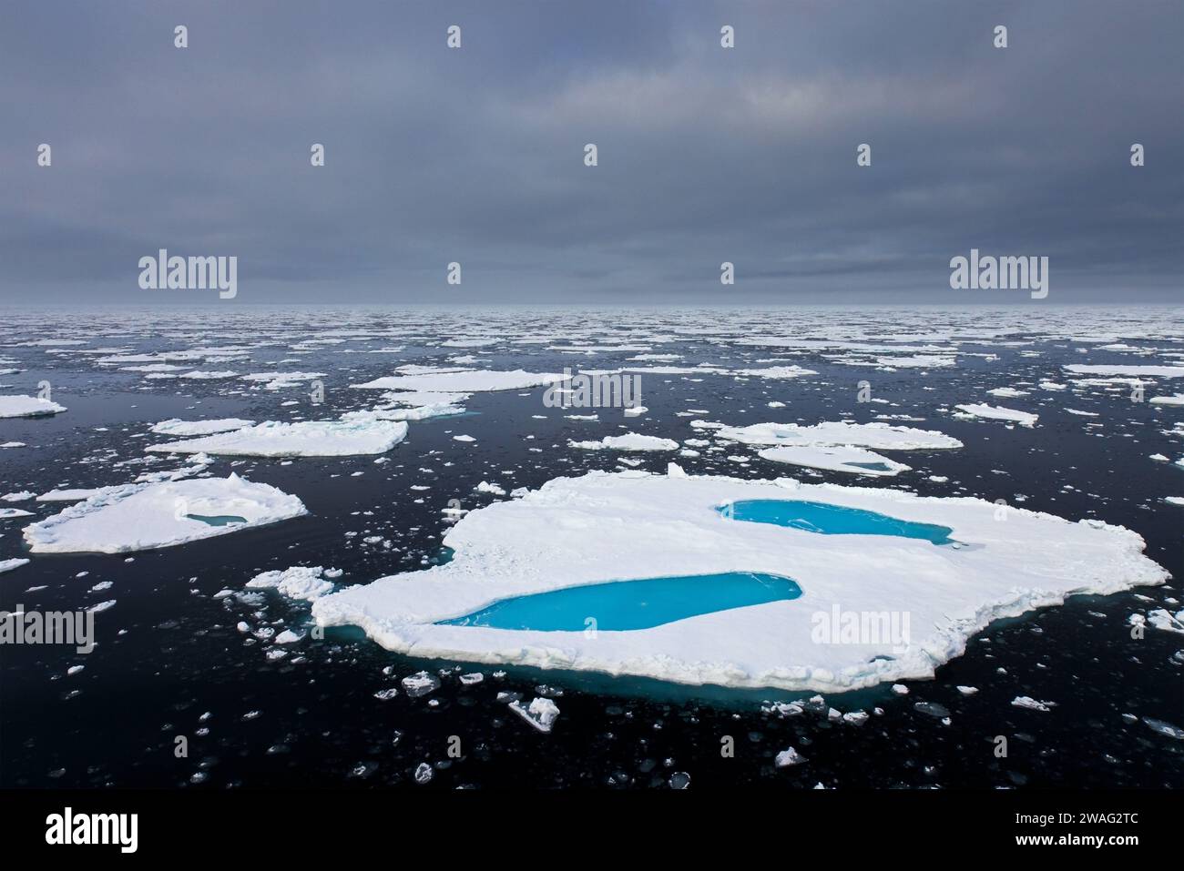 Aerial view over sea ice / drift ice / ice floes with melt ponds ...