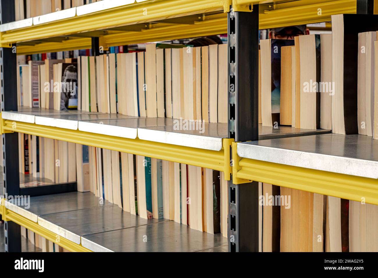 Shelves full of books in a book shop hi-res stock photography and ...