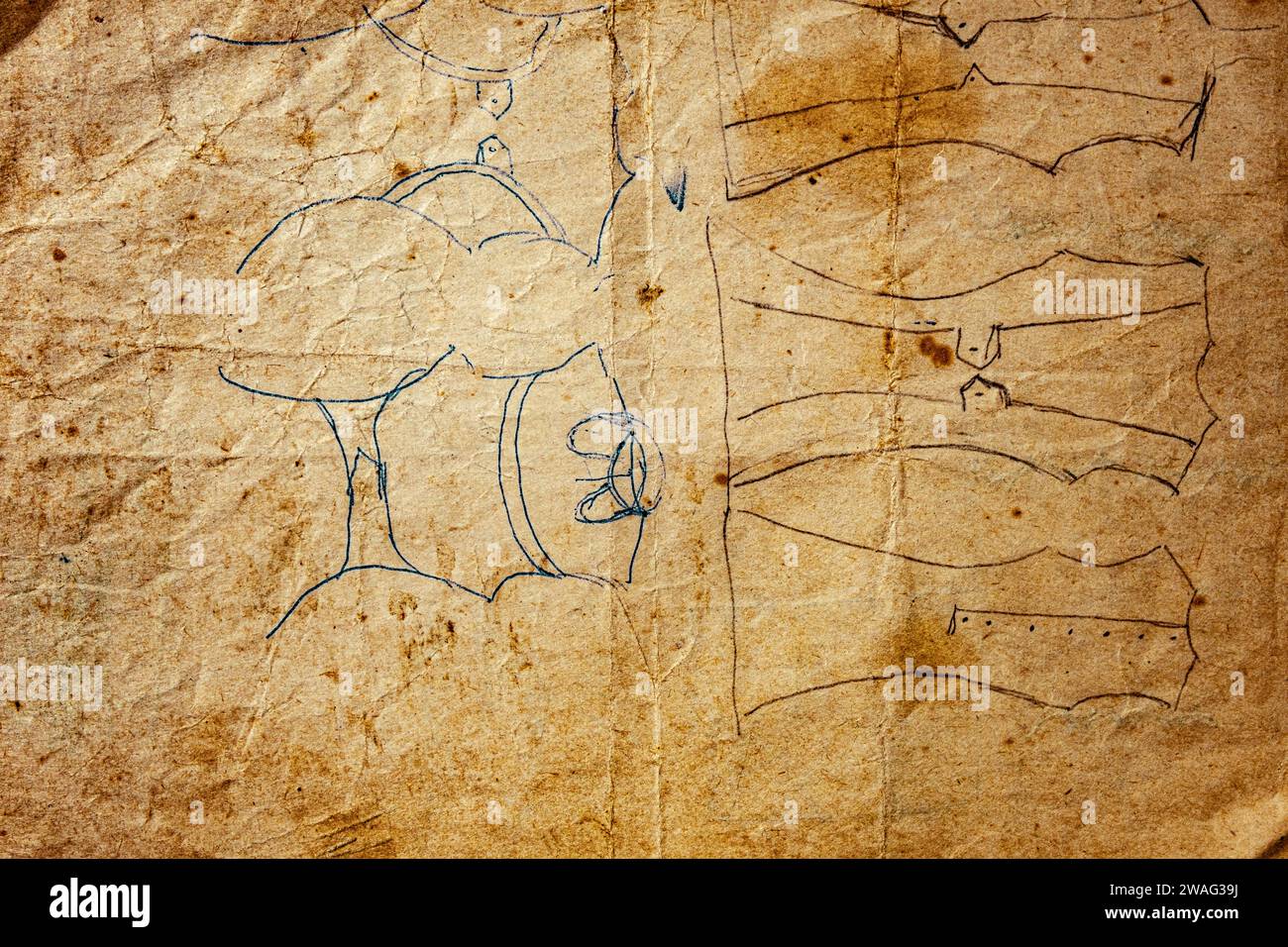 Old paper fashion sketches hi-res stock photography and images - Alamy