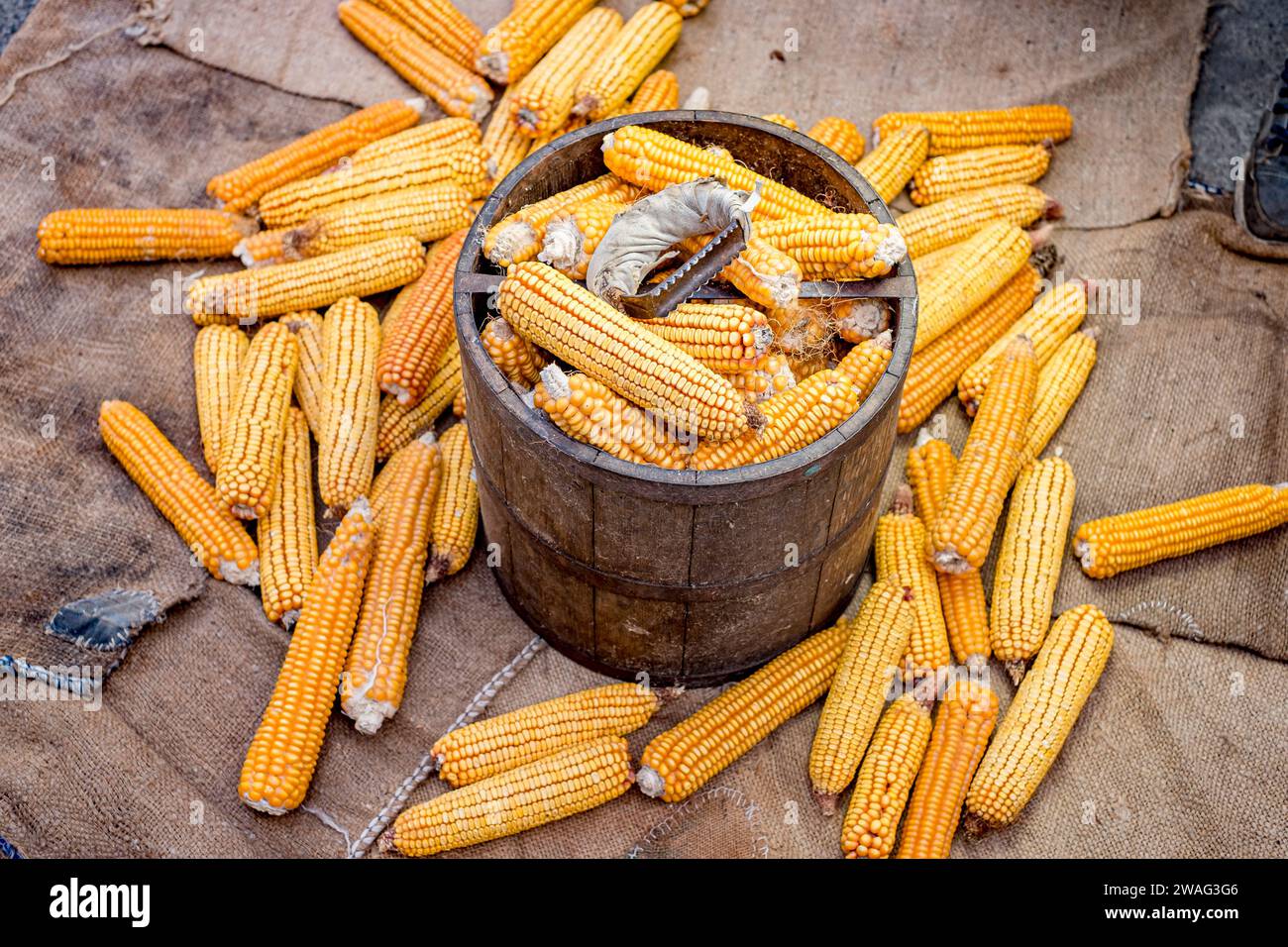 old wooden bushel with dried corn Stock Photo - Alamy