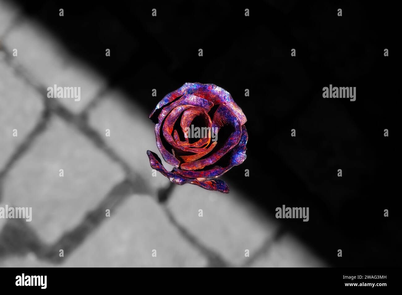 Flower floral forge hi-res stock photography and images - Alamy