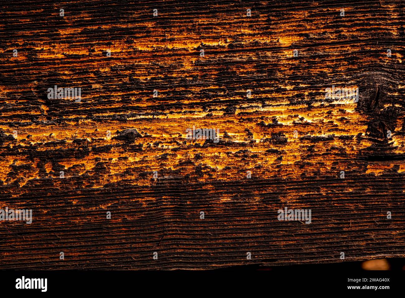 Surface of the old plank texture eroded by time and caries Stock Photo ...
