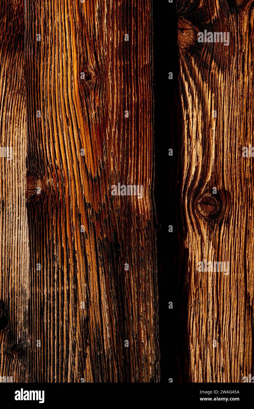 Surface of the old plank texture eroded by time and caries Stock Photo ...